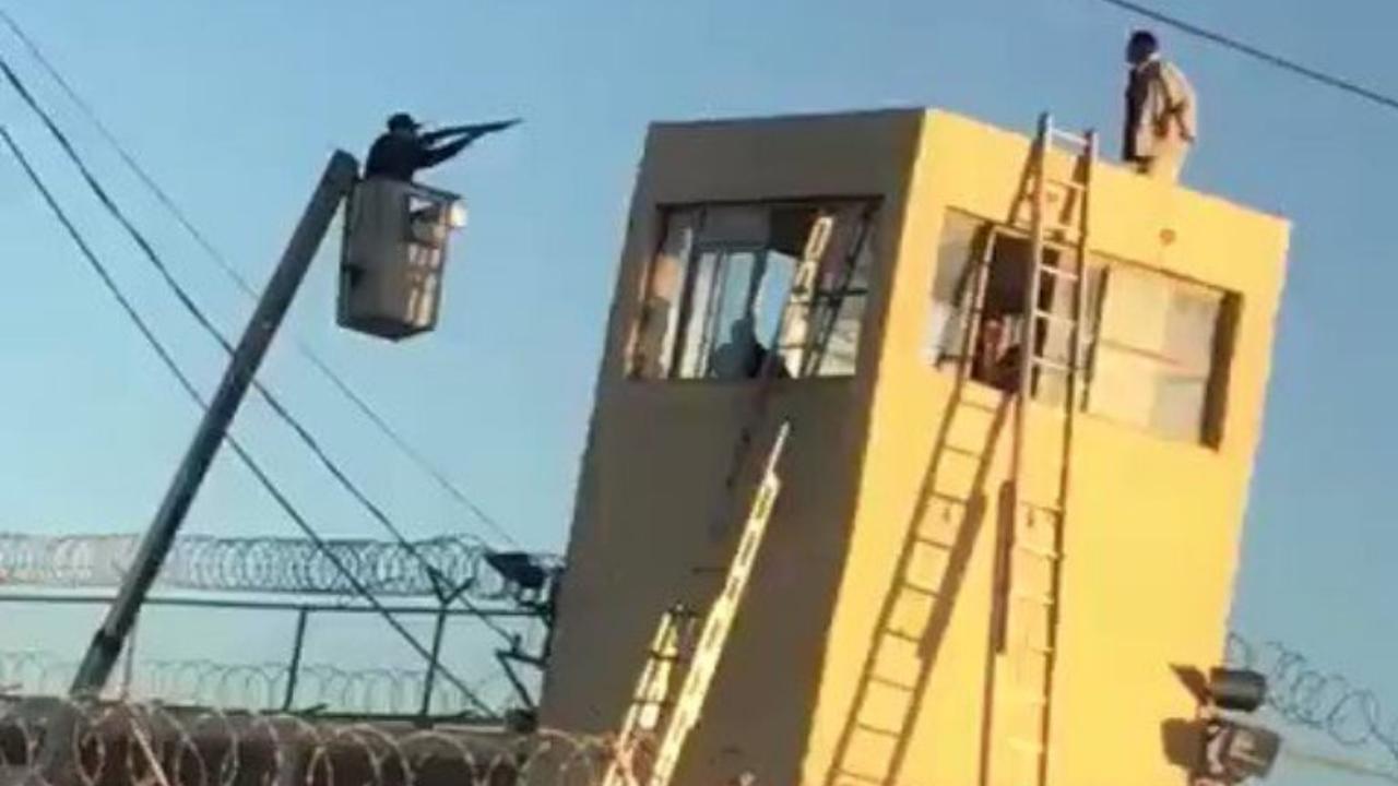 Imágenes sensibles: reo se lanzó desde una torre de vigilancia en ...
