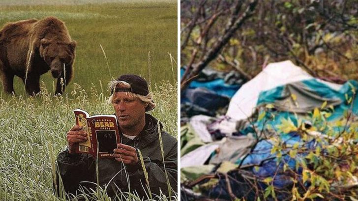 Timothy Treadwell video, el hombre que fue comido vivo por un oso ...