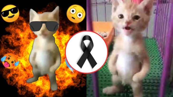 ¿Pana Miguel murió?, redes sociales aseguran que meme viral falleció
