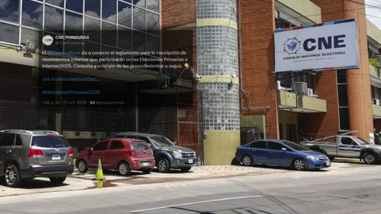 CNE revela reglamento para inscribir movimientos para elecciones de 2025