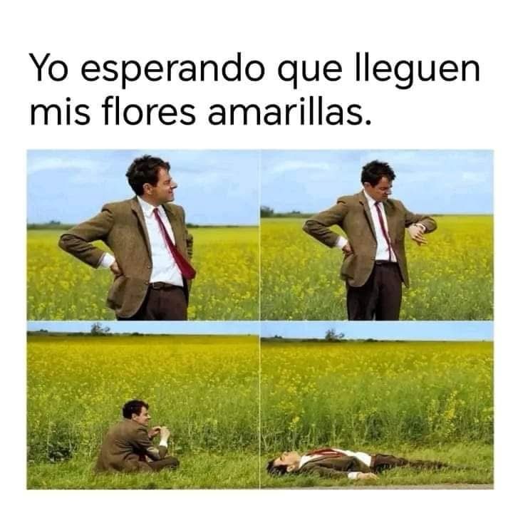 Flores amarillas memes: Las mejores imágenes humorísticas para este 21 ...