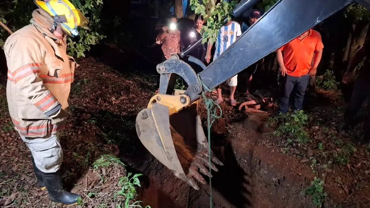 Rescatan a Ojona, la vaca que cayó en un pozo séptico en Catacamas