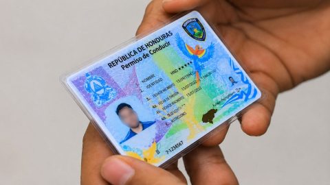 Estos son los pasos para recuperar la licencia de conducir por robo o ...